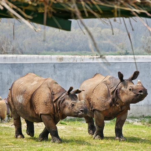 Gorakhpur Zoo